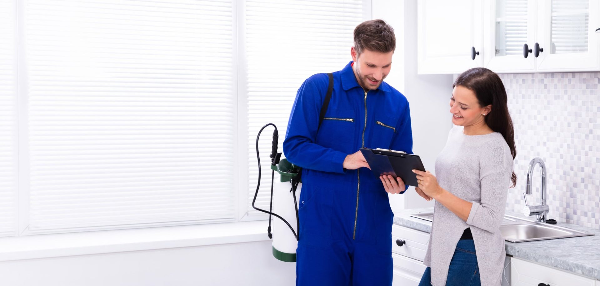 Get Quotes for Local Termite Inspections in Harrington